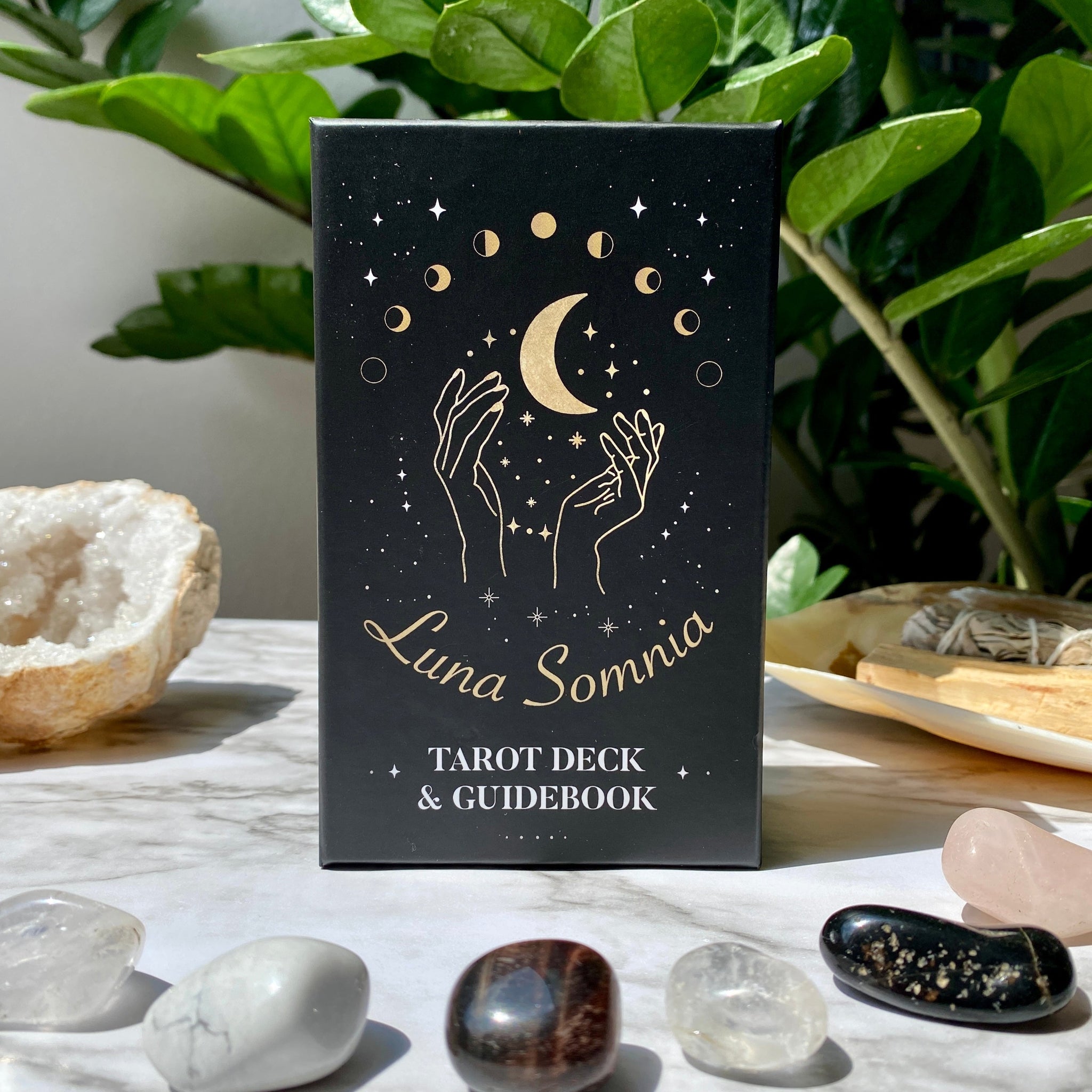 Luna Somnia Tarot Deck – Shores Of Moon